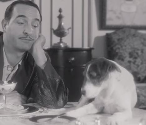 Uggie, le chien de "The Artist", est mort - Oise Média